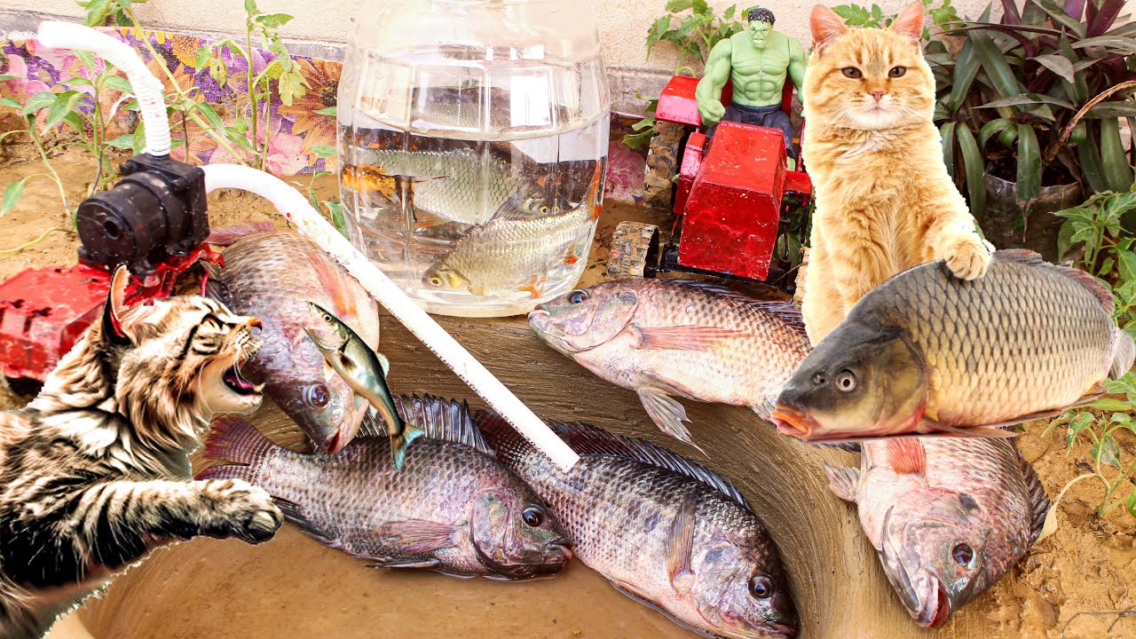 Catch fish using mini water pump | fishing exciting | diy tractor ...