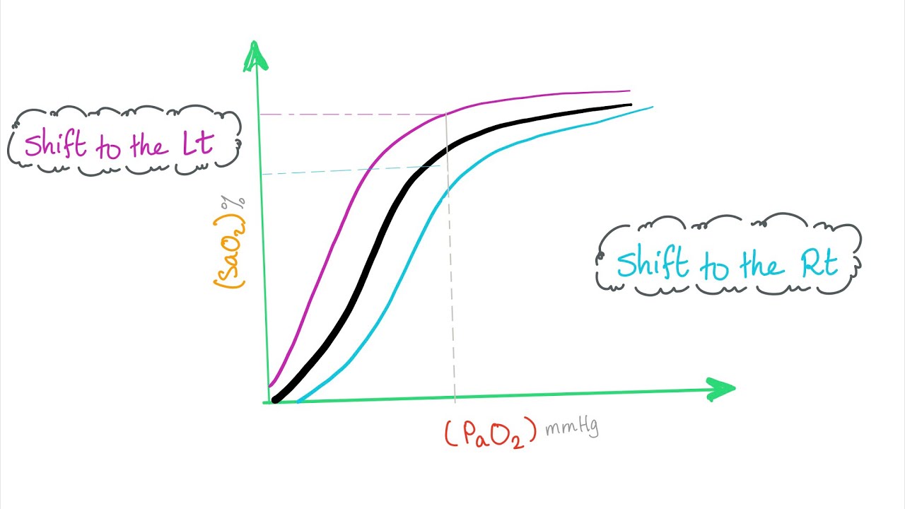 Oxygen Hemoglobin Dissociation Curve with A Mnemonic YouTube