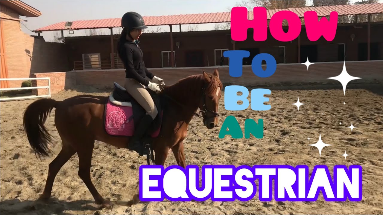How to be an equestrian ( for beginners) 💙🩵 absolutely loved filming ...