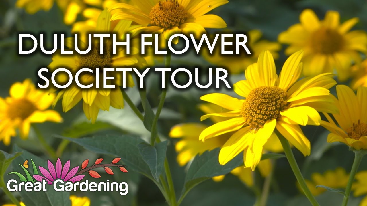 Duluth Garden Flower Society Tour - YouTube