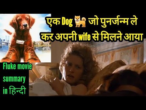 Fluke movie Explained in Hindi | dog movie | Ending explained | story