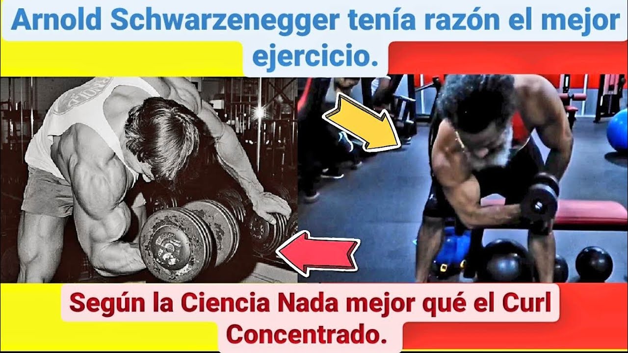 Arnold tenía razón según la Ciencia Curl Concentrado el mejor ejercicio ...
