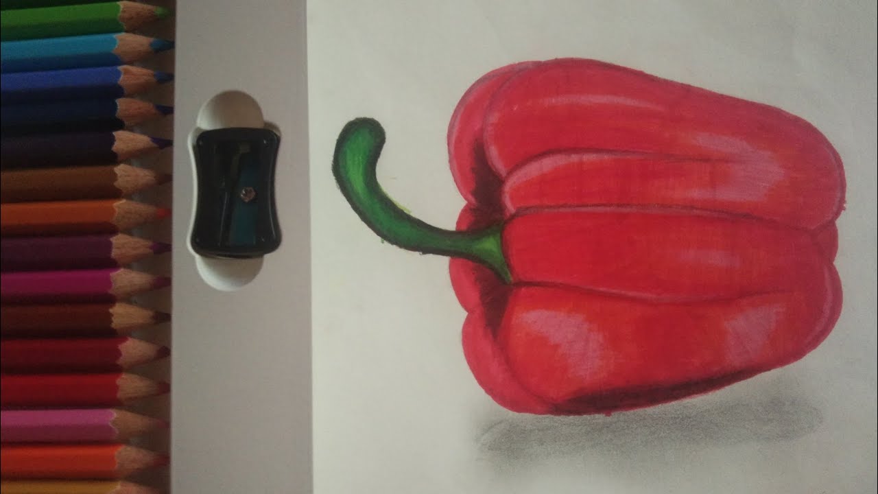 How to draw realistic capsicum - YouTube