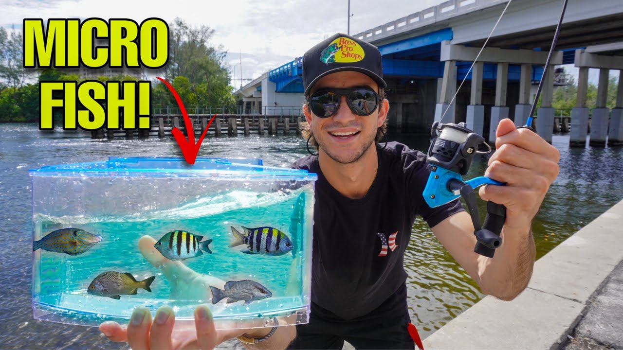 SALTWATER Micro Fishing For COLORFUL FISH!! - YouTube