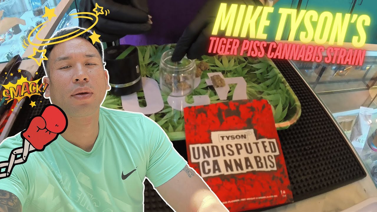 Mike Tyson's Tiger Piss Strain Packs A Punch | Bangkok VLOG | - YouTube