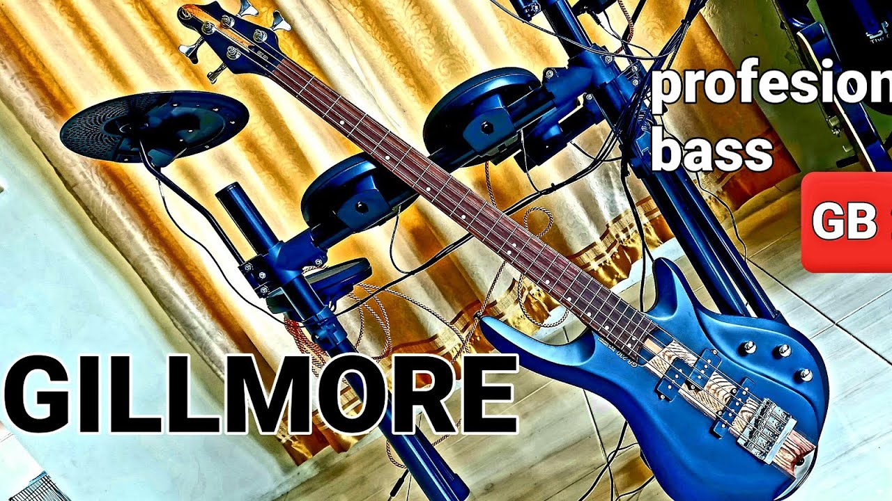 Bass gitar gillmore:Choosing a professional bass guitar#bassist # ...