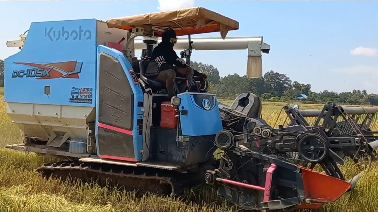 Watch How Kubota Harvest Rice Fast This Moment, Kubota Harvesting Video ...