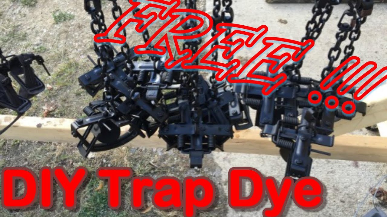 DIY Trap Dye, Free Natural Trap Preparation Techniques Old School - YouTube