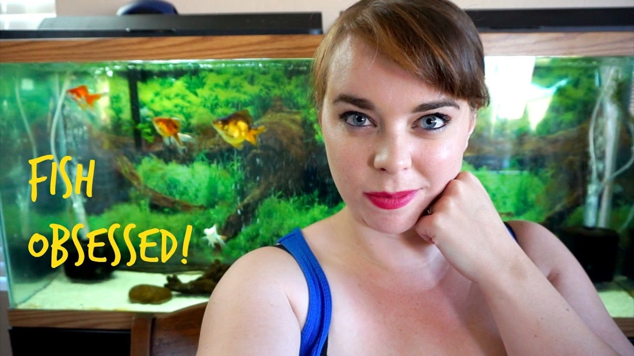 MY FISH STORY | How I Got Into Fish Keeping - YouTube