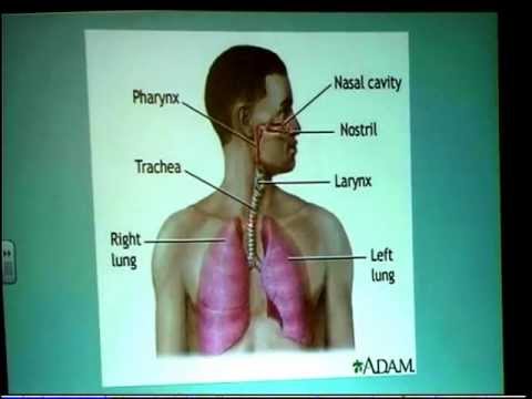 Problems of Drugs and Qat or Khat cause - YouTube