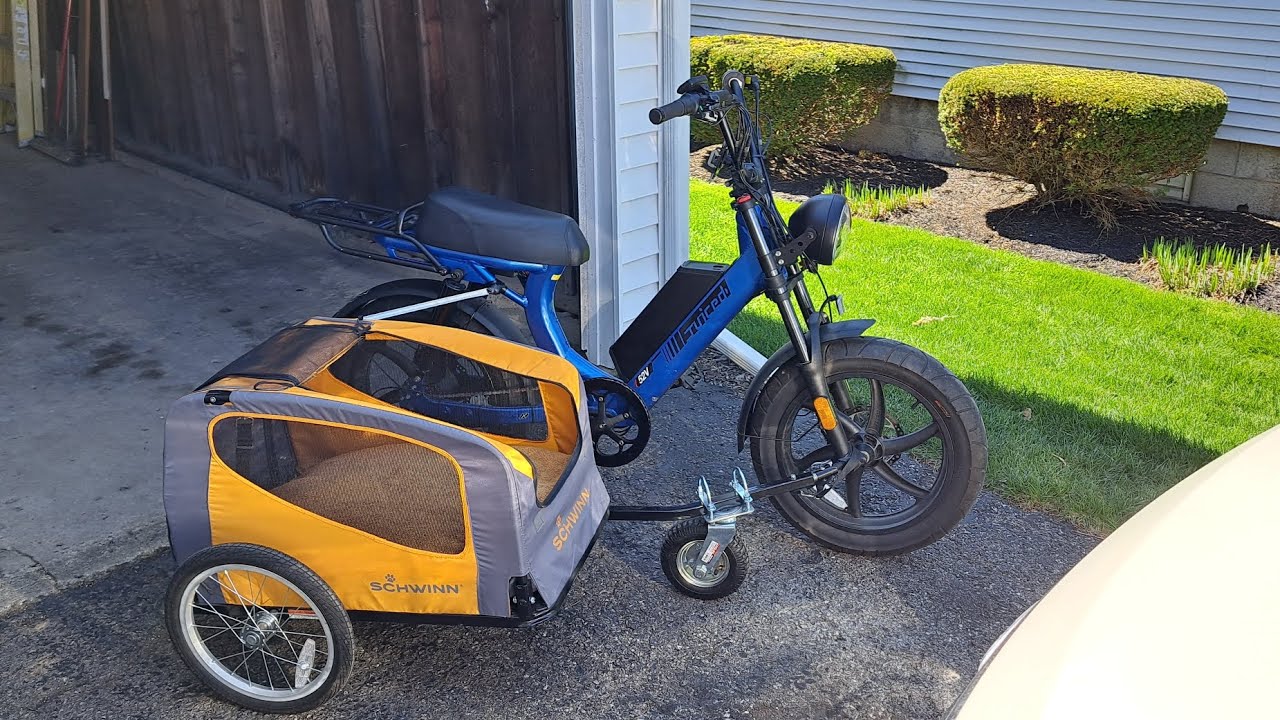 Home-made sidecar for my dog's on the E-bike - YouTube