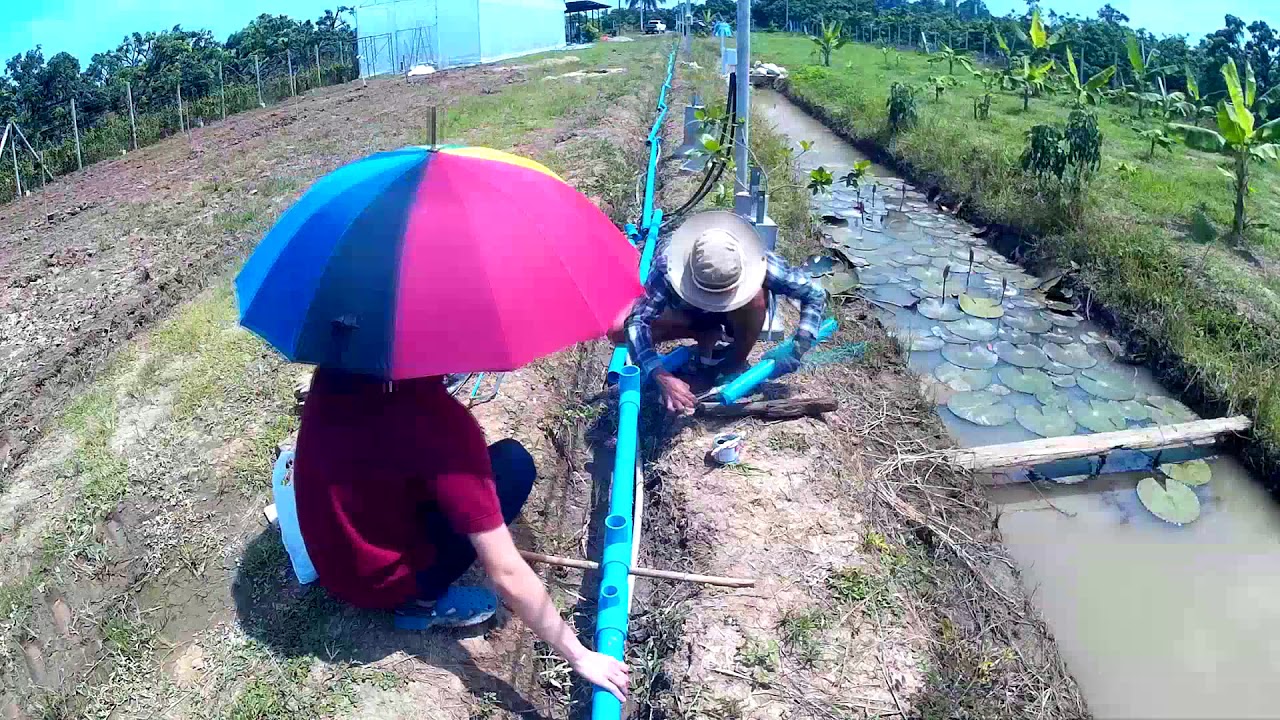 [Timelapse] Smart Farm 2" Main Water Pipe Installing - YouTube