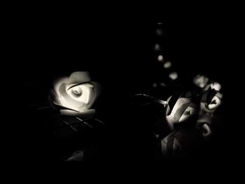 Anya - Roses (original song) - YouTube