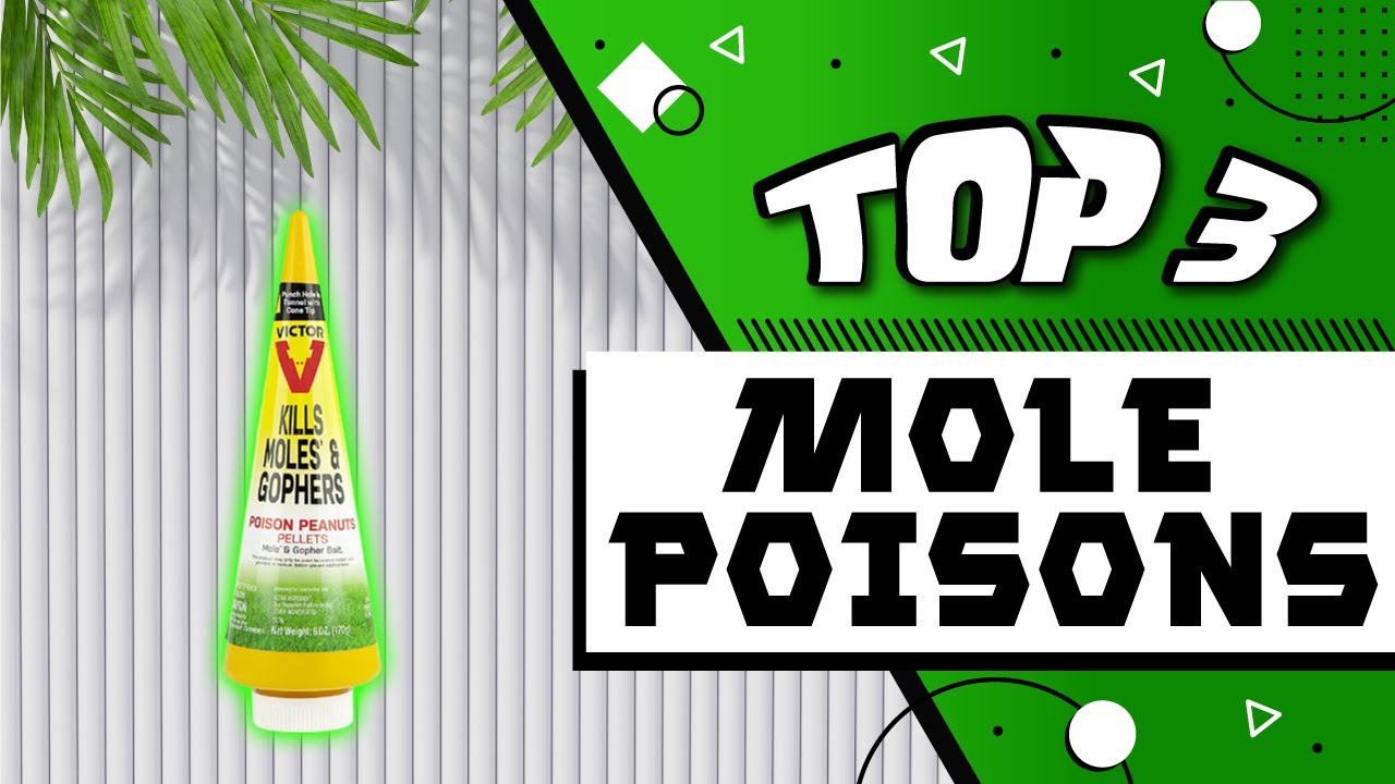 Best Mole Poison - YouTube