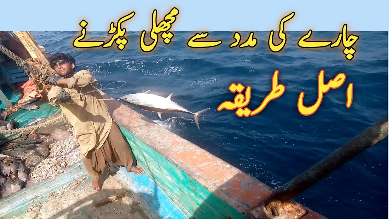 Easy way to catch fish with the help of kandi - YouTube