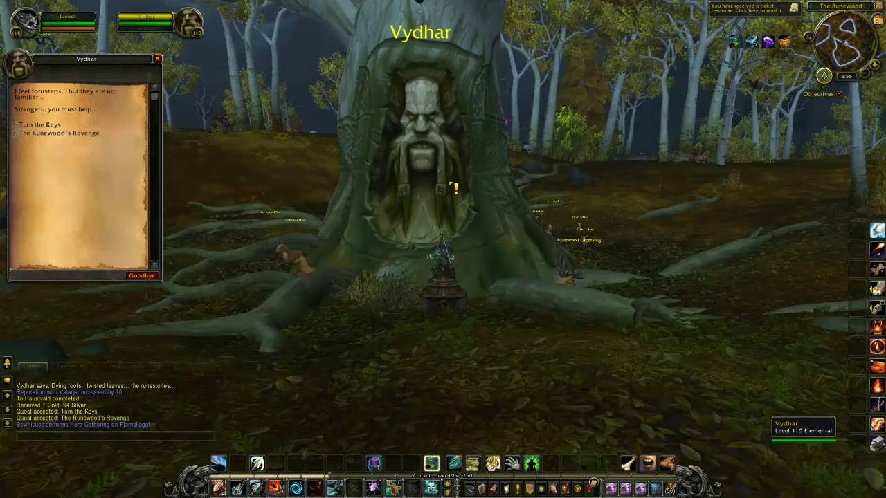 World of Warcraft Turn the Keys / The Runewood's Revenge Legion Quest ...