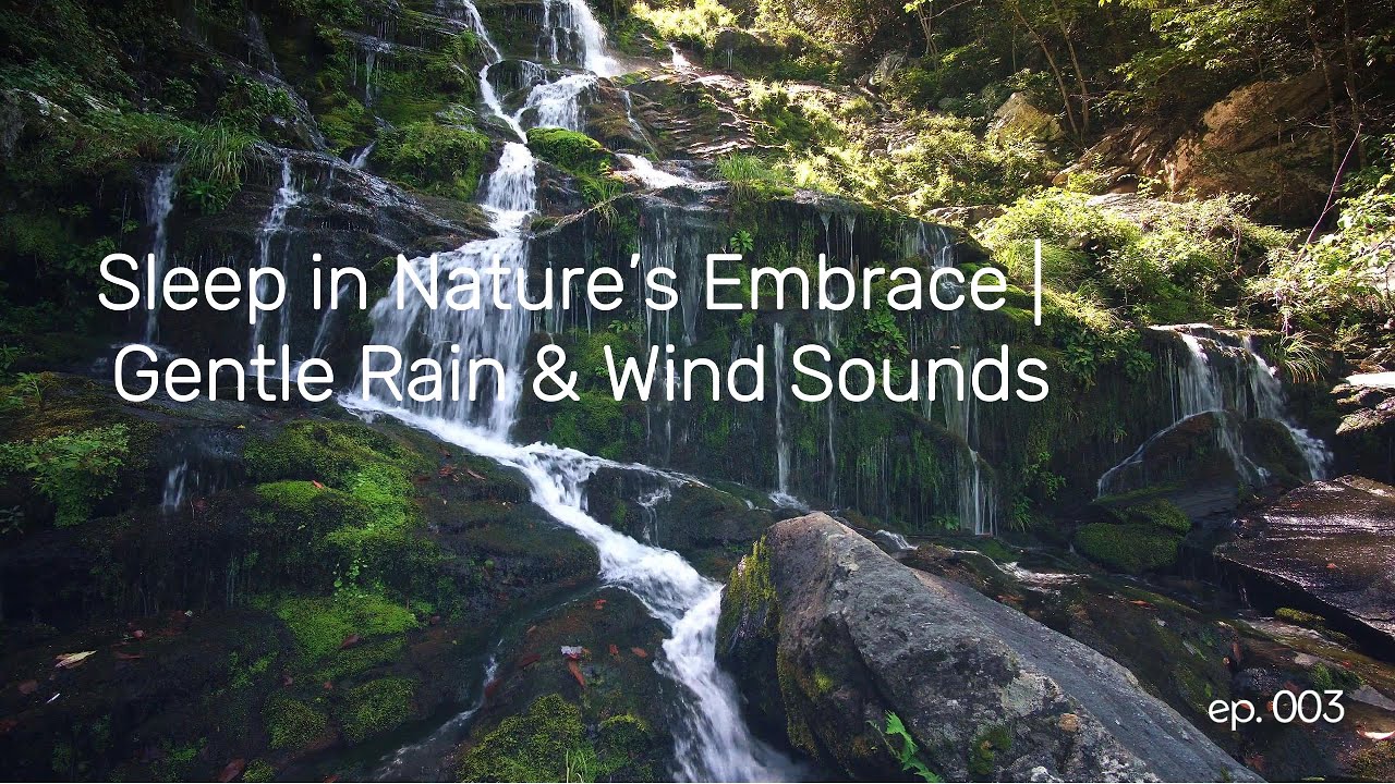 Whispers of the Wind, Songs of the Rain | Gentle Rain & Wind Sounds for ...