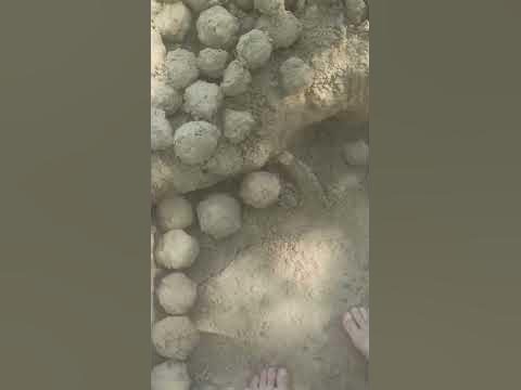 Продаю яйца (мужские) #ять - YouTube