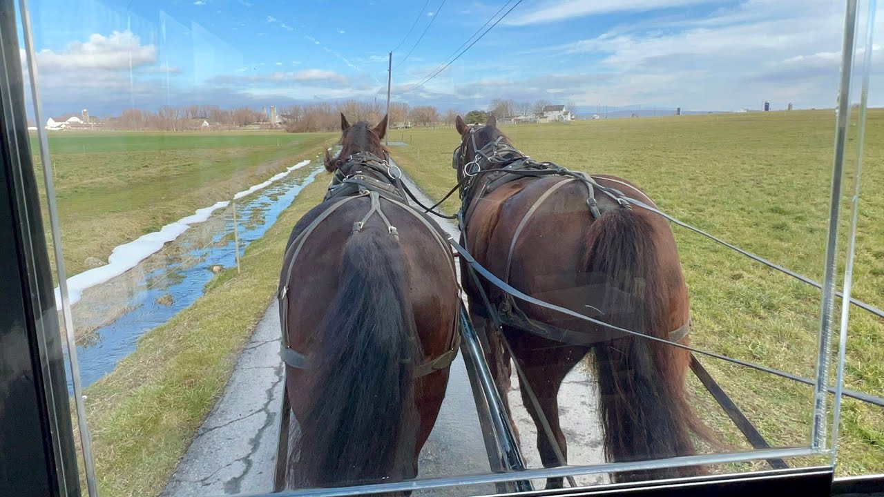Amish Horse & Buggy Ride~ Lancaster County, Pennsylvania 1-27-2024 ...