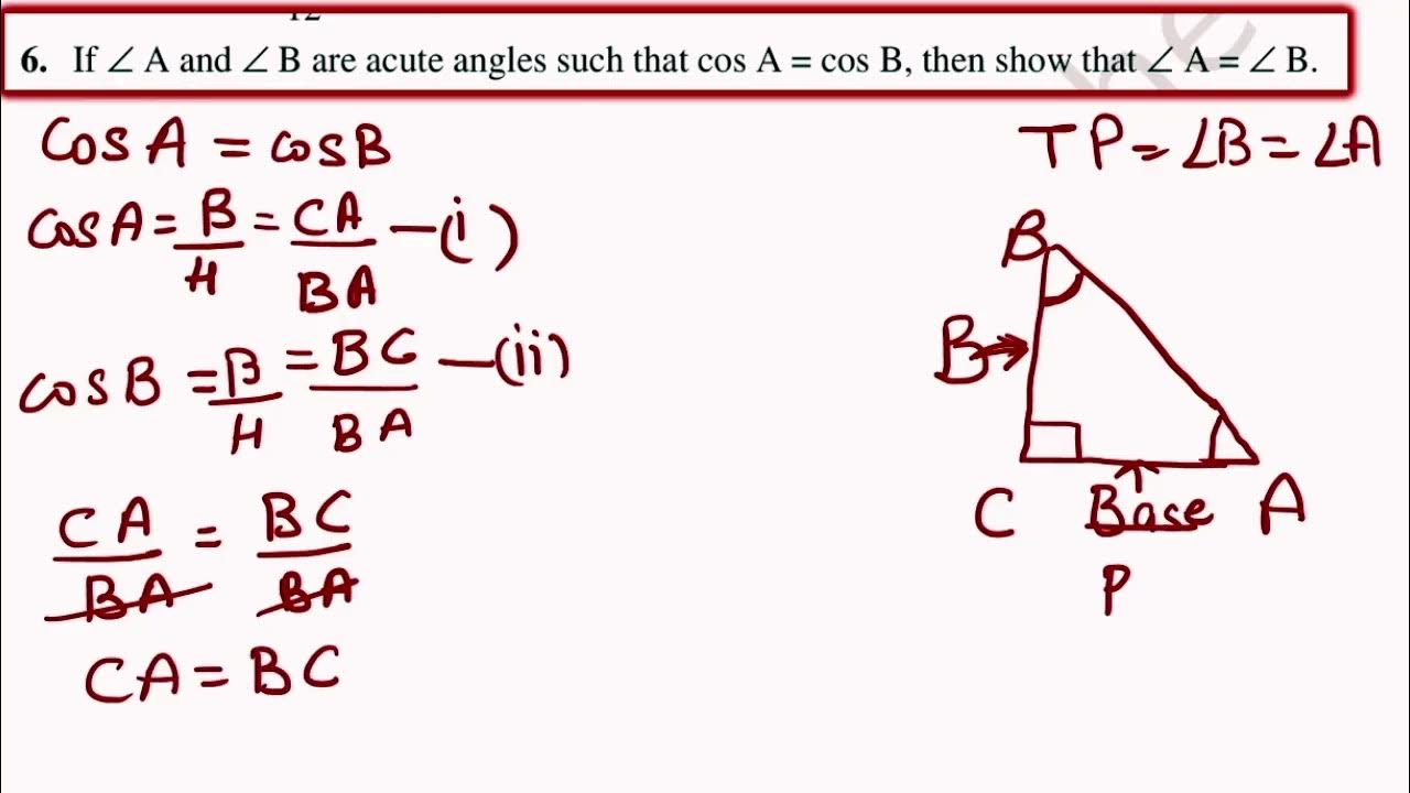 🚀 Advance Your Trigonometry Skills | CBSE Class 10 Maths Chapter 8 Ex 8.1 Q5-7 Solved - YouTube