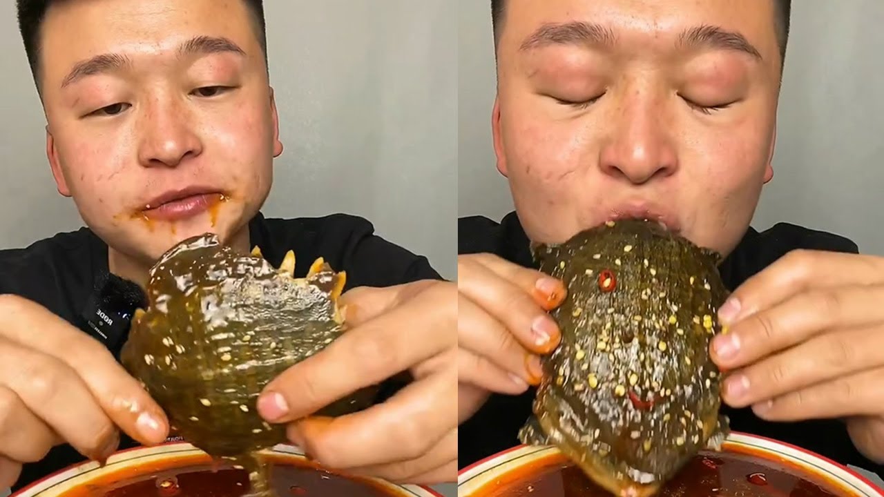 This spicy turtle is very delicious - YouTube