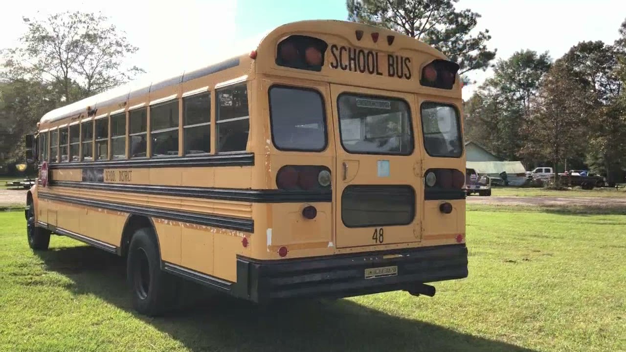 1995 International 3800 24 Passenger Blue Bird Handicap School Bus ...