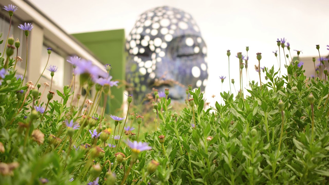 DesignNode Commercial_2020 - YouTube