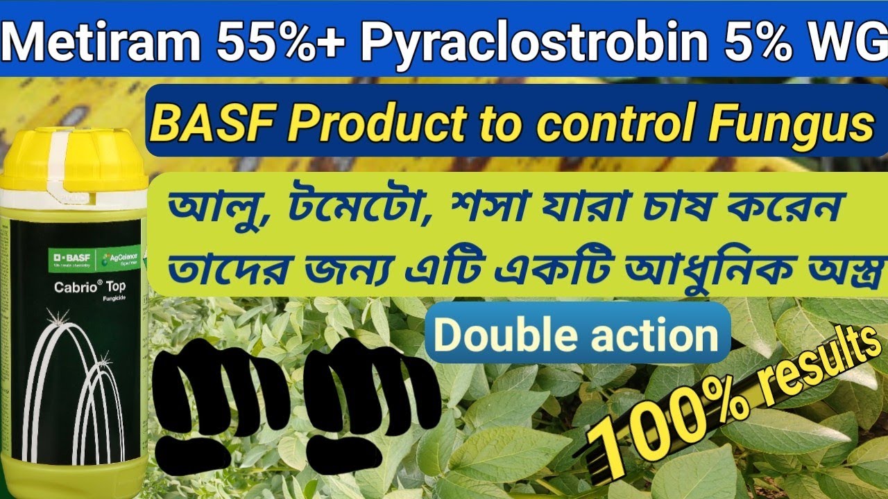Cabrio top Fungicide || BASF Cabrio top Fungicide || Metiram 55% ...
