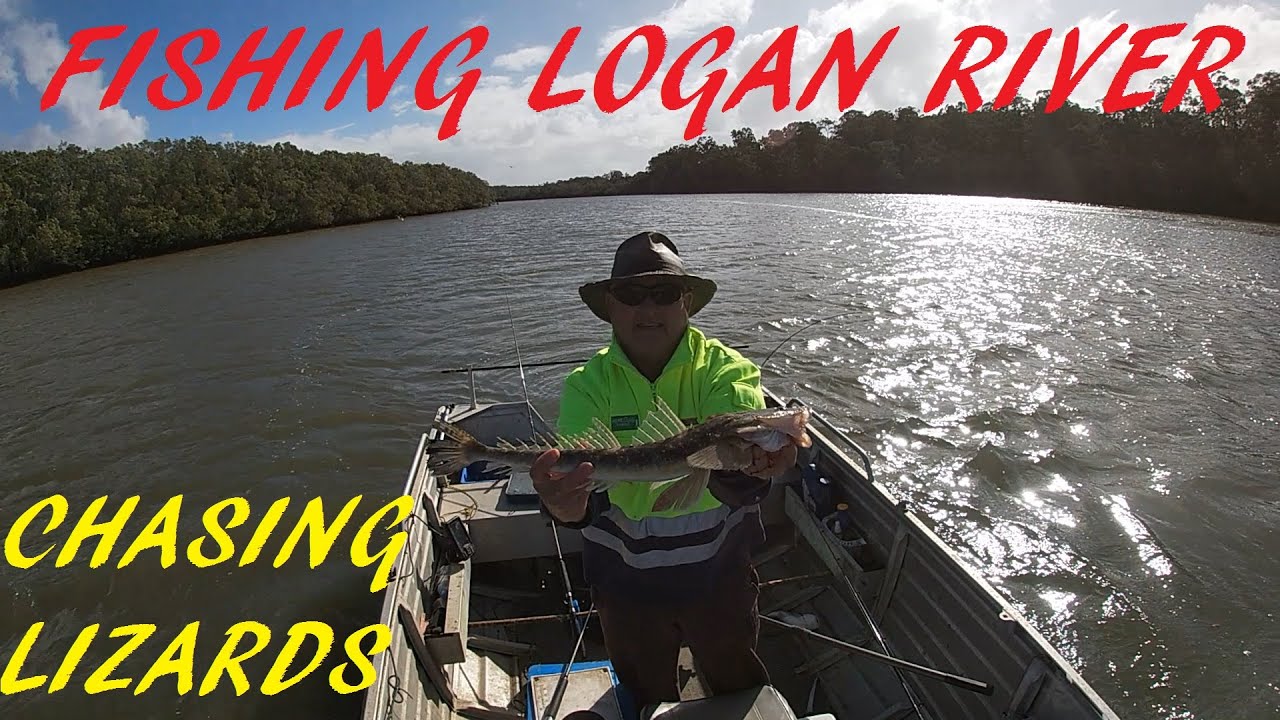 LOGAN RIVER FISHING 6TH JULY 2024 - YouTube