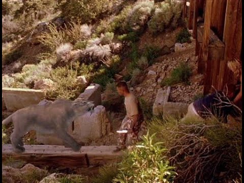 Sabertooth (2002) Part 14