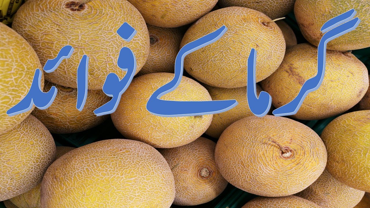 cantaloupe ke fayde / cantaloupe benefits / garma fruit ke fayde ...