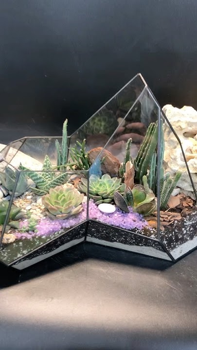 Мастер классы, флорариумы, комнатные растения Florarium-flo.ru - YouTube