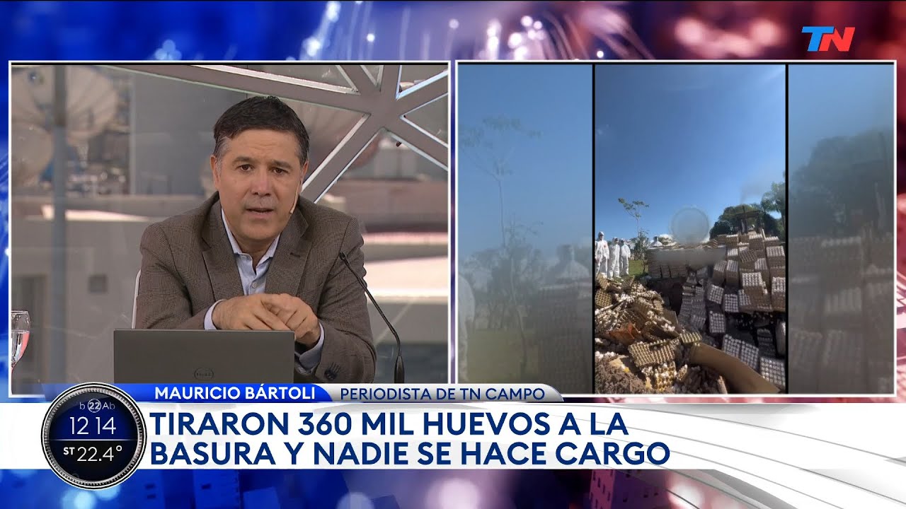 CAMPO I Tiraron 360 mil huevos a la basura y nadie se hace cargo - YouTube