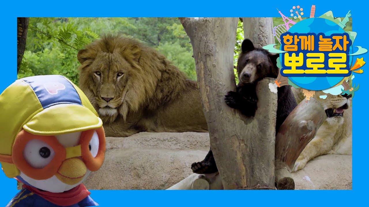 Zoo with Pororo l Learn Animals l Pororo Vlog l Pororo the Little ...
