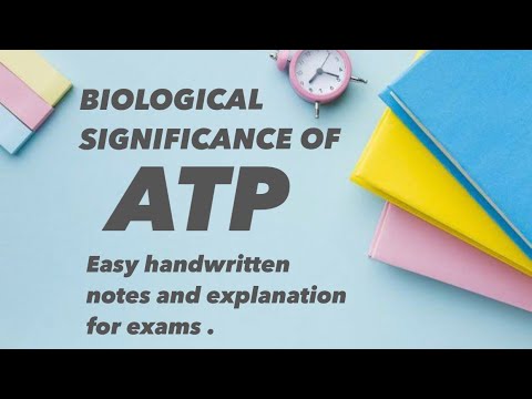 BIOLOGICAL SIGNIFICANCE OF ATP | Adenosine Tri Phosphate | Easy ...