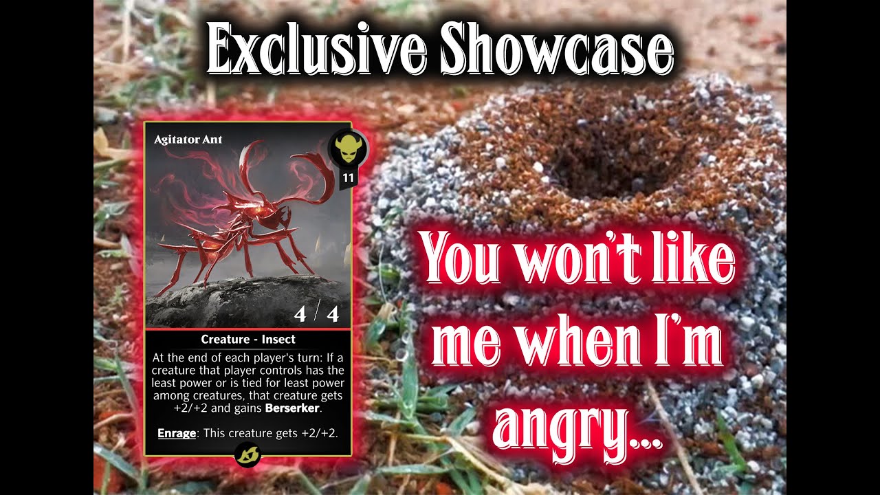 Exclusive Showcase - Agitator Ant - YouTube