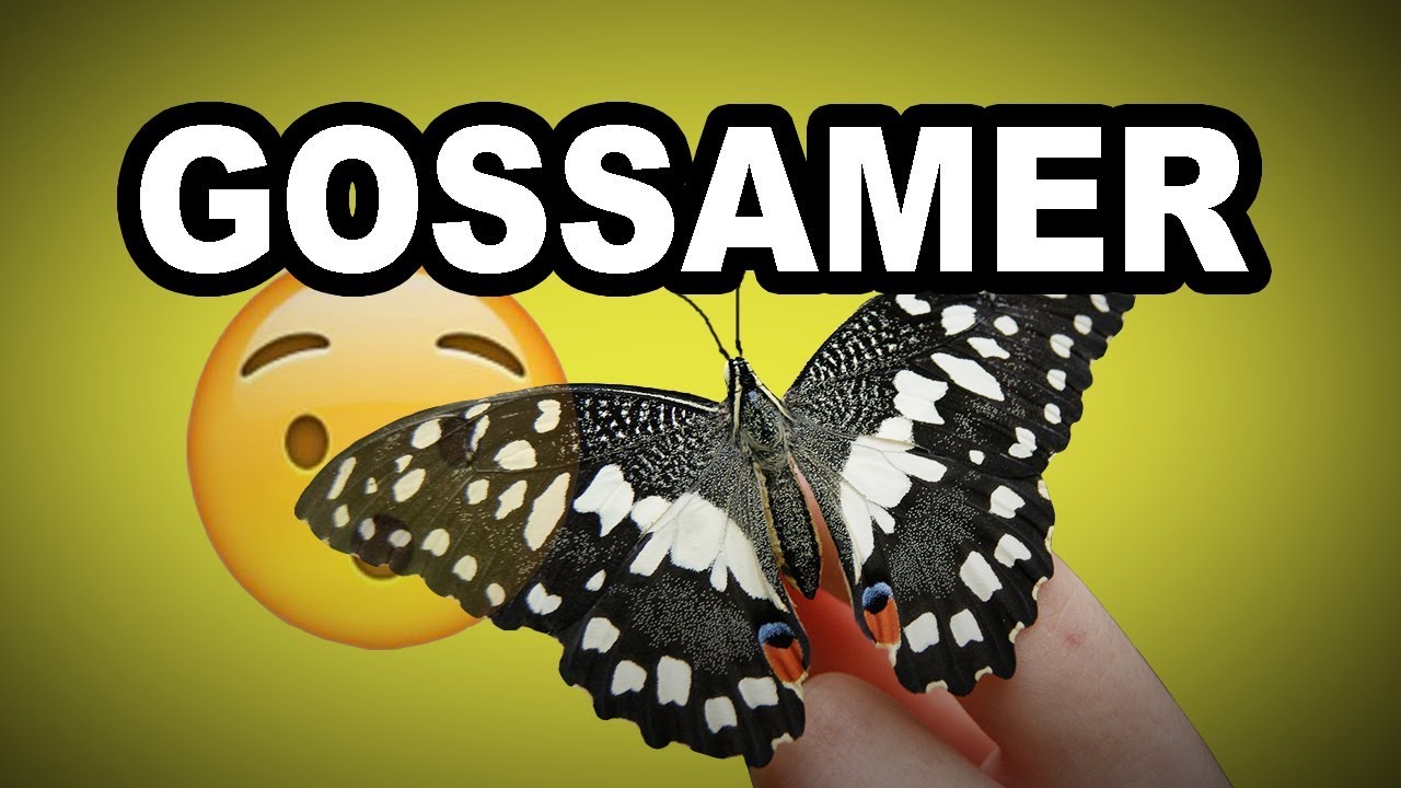 Learn English Words: GOSSAMER - Meaning, Vocabulary with Pictures and ...