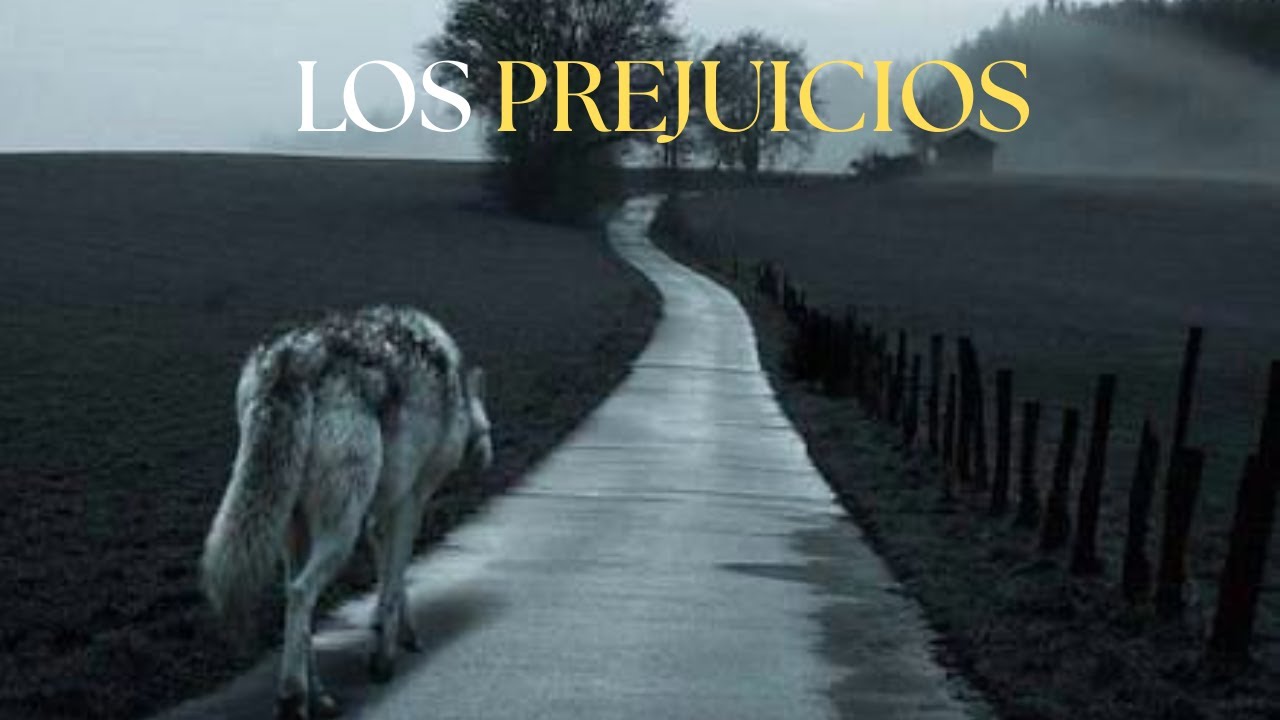 El ARTE de vivir sin PREJUZGAR / CRECIMIENTO PERSONAL. - YouTube