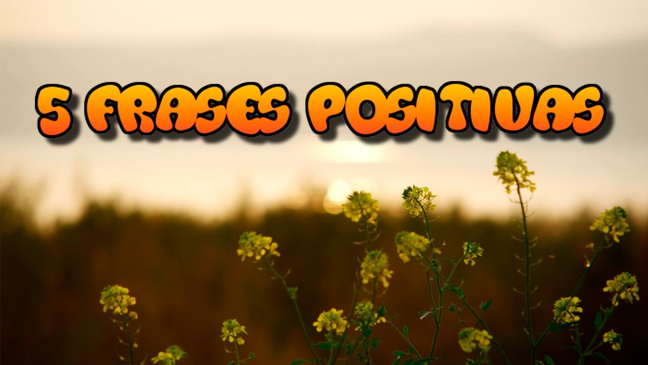 5 frases positivas - YouTube