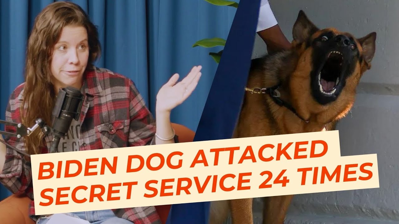 Biden's Dog Attacks Secret Service 24 Times: Discussion with Mary ...