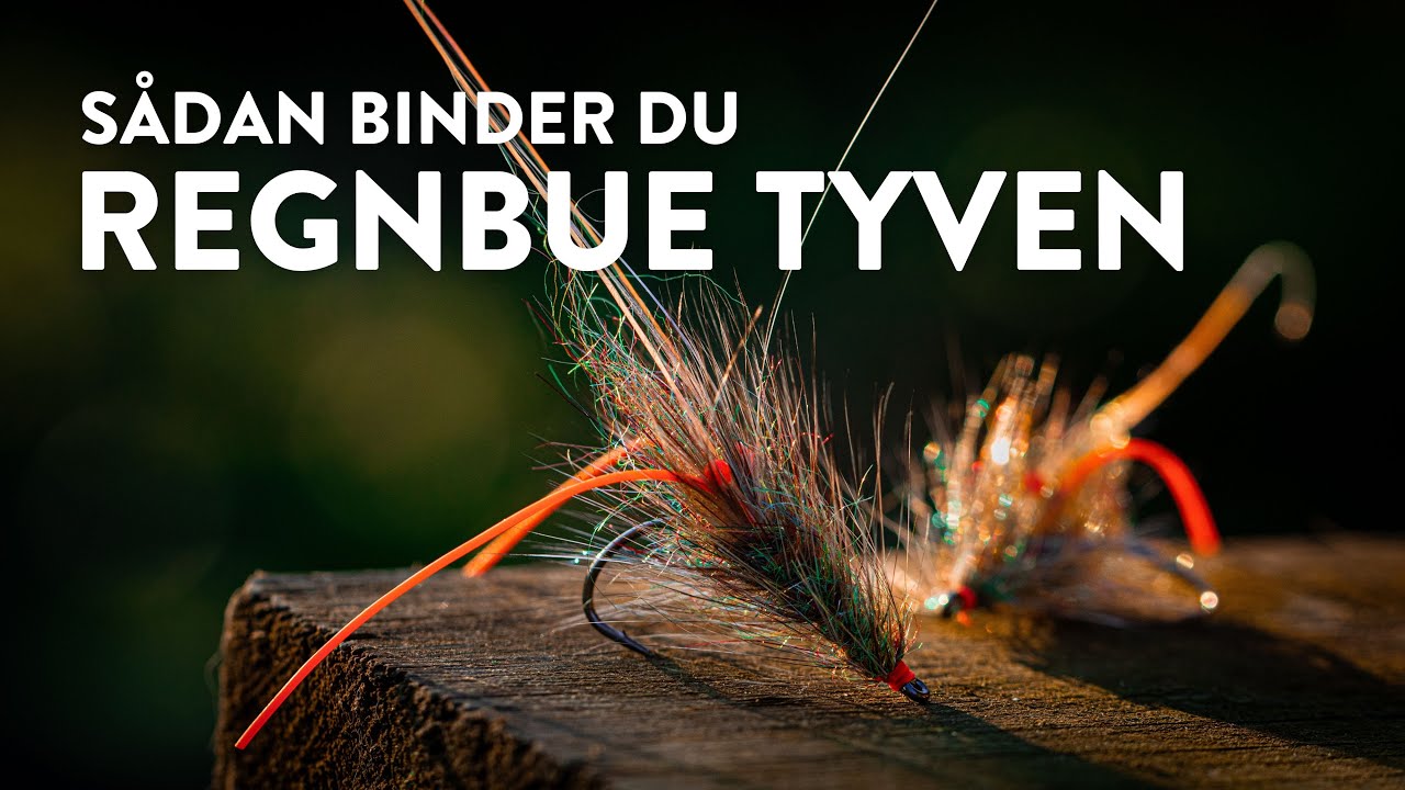 REGNBUE TYVEN - Høtyven til alle os der elsker Regnbue Svinet - YouTube