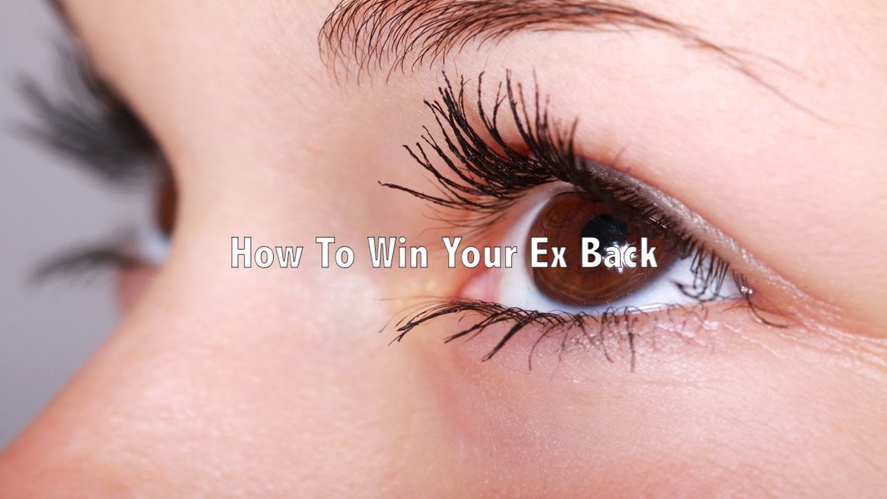 How To Win Your Ex Back - YouTube