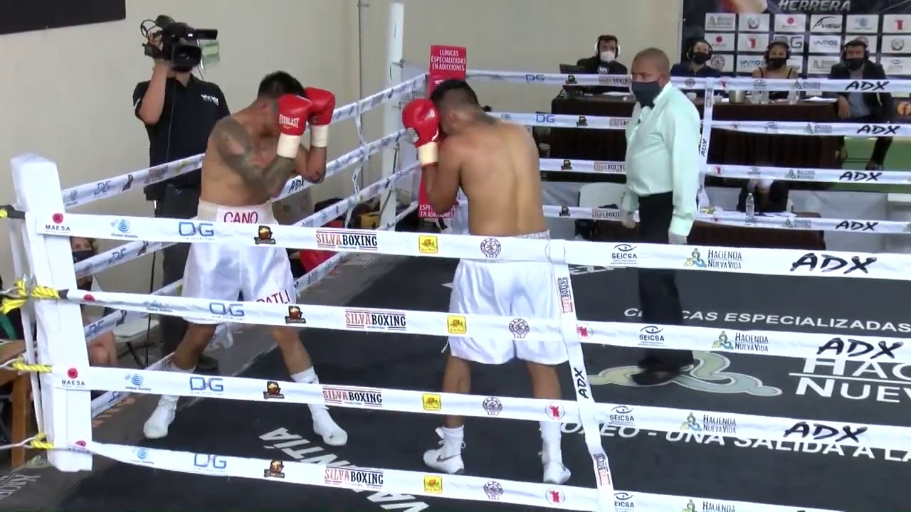 Silva Boxing Promotions / IMPACTO BOXEO INTERNACIONAL - YouTube