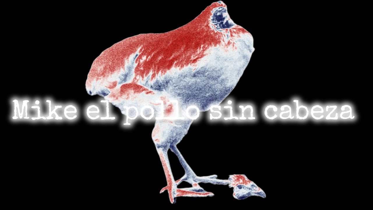 Mike el pollo sin cabeza - YouTube