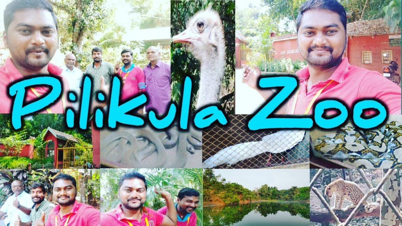 Pilikula Zoo Mangalore Karnataka India | Pilikula Biological Park ...