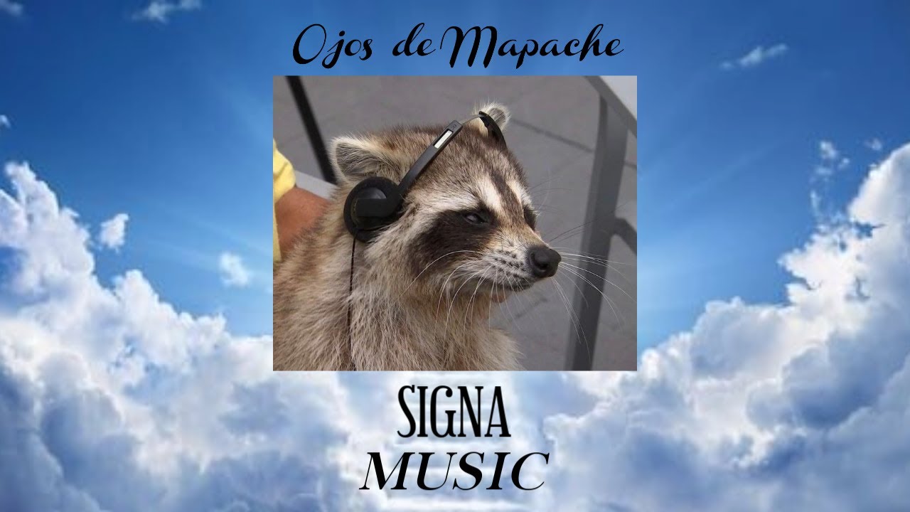 SIGNA - Ojos de Mapache💕 - YouTube