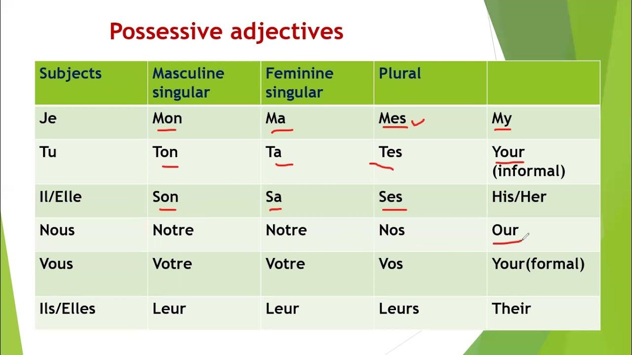 Possessive adjectives in French :Adjectifs possessifs : Mon, ma, mes ...