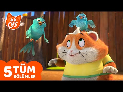 44 Kedi | TOP 5  Köfte Tam Bölüm | Çocuklar için çizgi film.