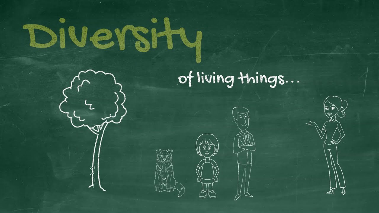 Diversity - Diversity of living things - Sience - Elementary Classes ...