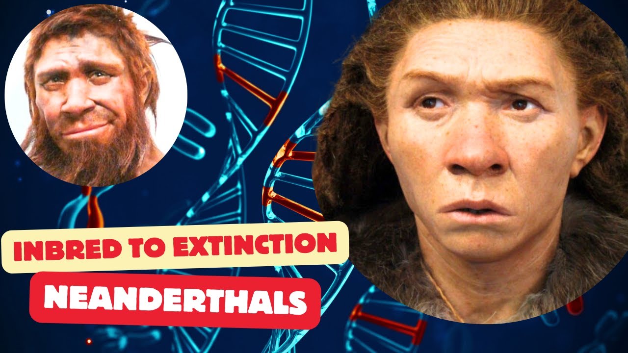 Shocking Finds Suggest Neanderthals Driven to Extinction by Inbreeding ...